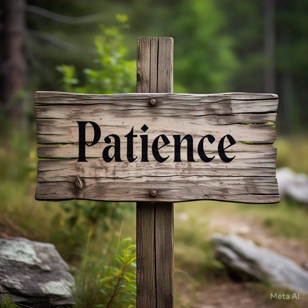 Practicing Patience - MidlifeToolsForLiving.com